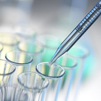 易科学-Overlap PCR / SOE PCR技术服务 - 服务详情